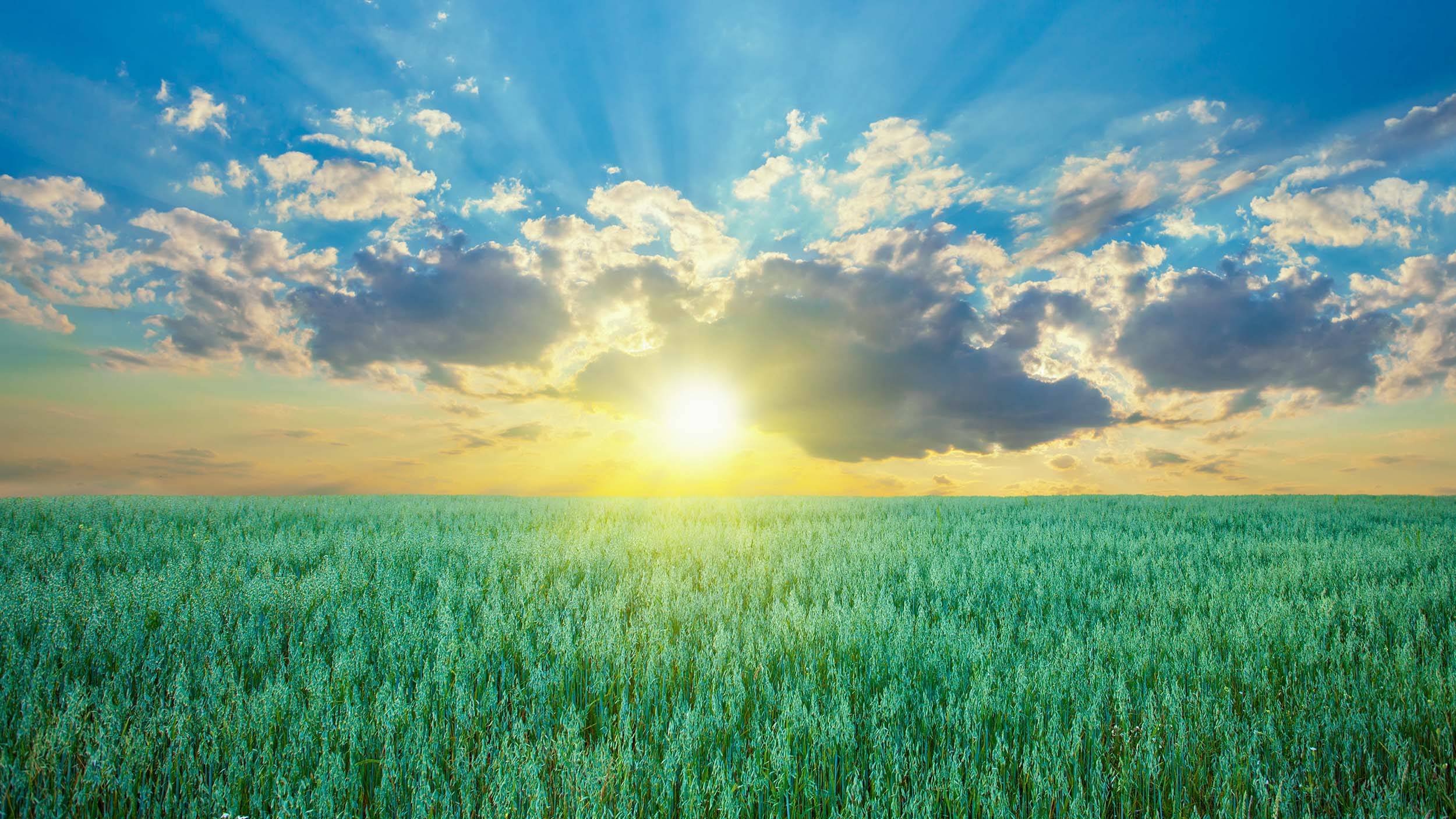 Hvordan skal vi ligne Gud? - Alt om Jesus, Gud og Helligånden