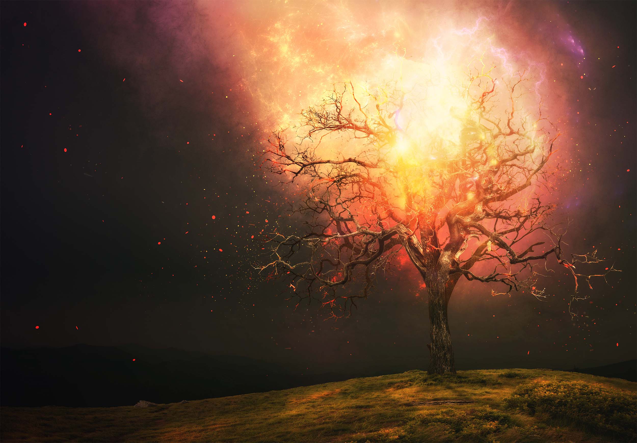 Den brændende tornebusk - Alt om Jesus, Gud og Helligånden